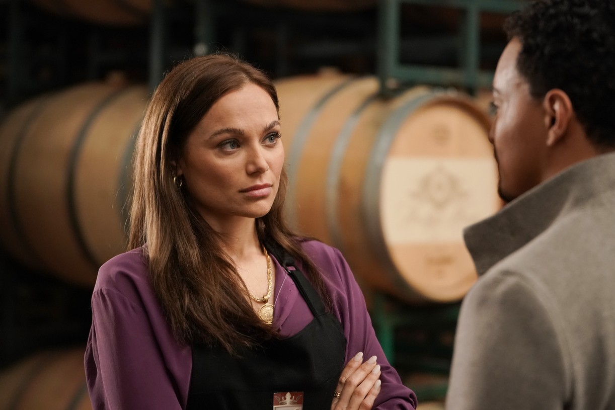 'Promised Land' Premieres on ABC Tonight - Meet The Full Cast Now ...