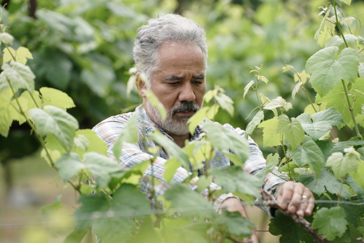 'Promised Land' Premieres on ABC Tonight - Meet The Full Cast Now ...