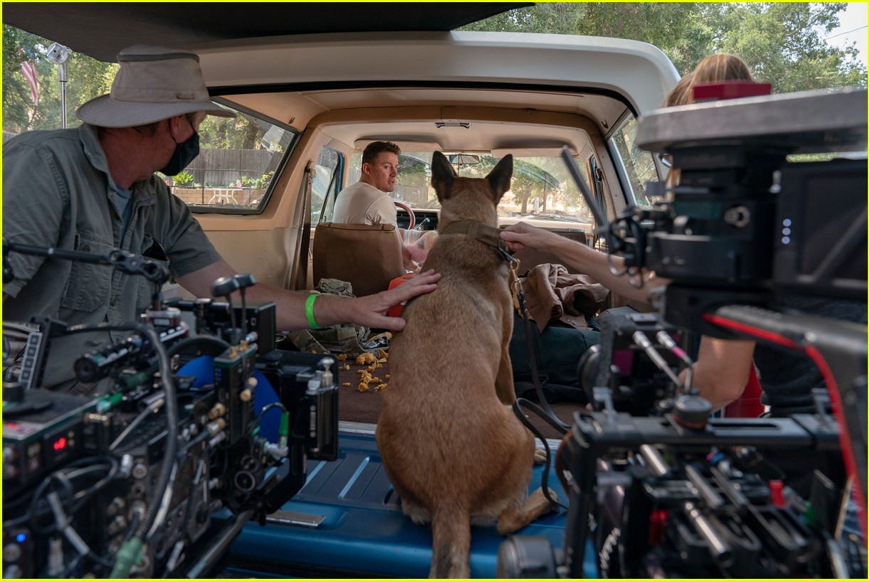 Photo: dog end credits scene 06 | Photo 4708143 | Just Jared