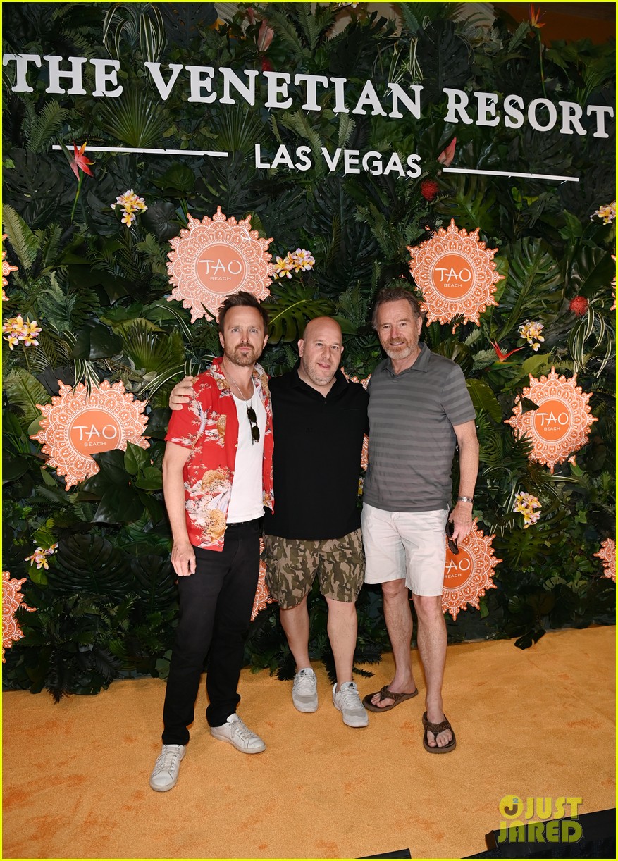 Breaking Bad's Bryan Cranston & Aaron Paul Partied Together in Vegas ...