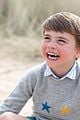 Prince Louis Looks So Cute in His 4th Birthday Portraits!: Photo ...