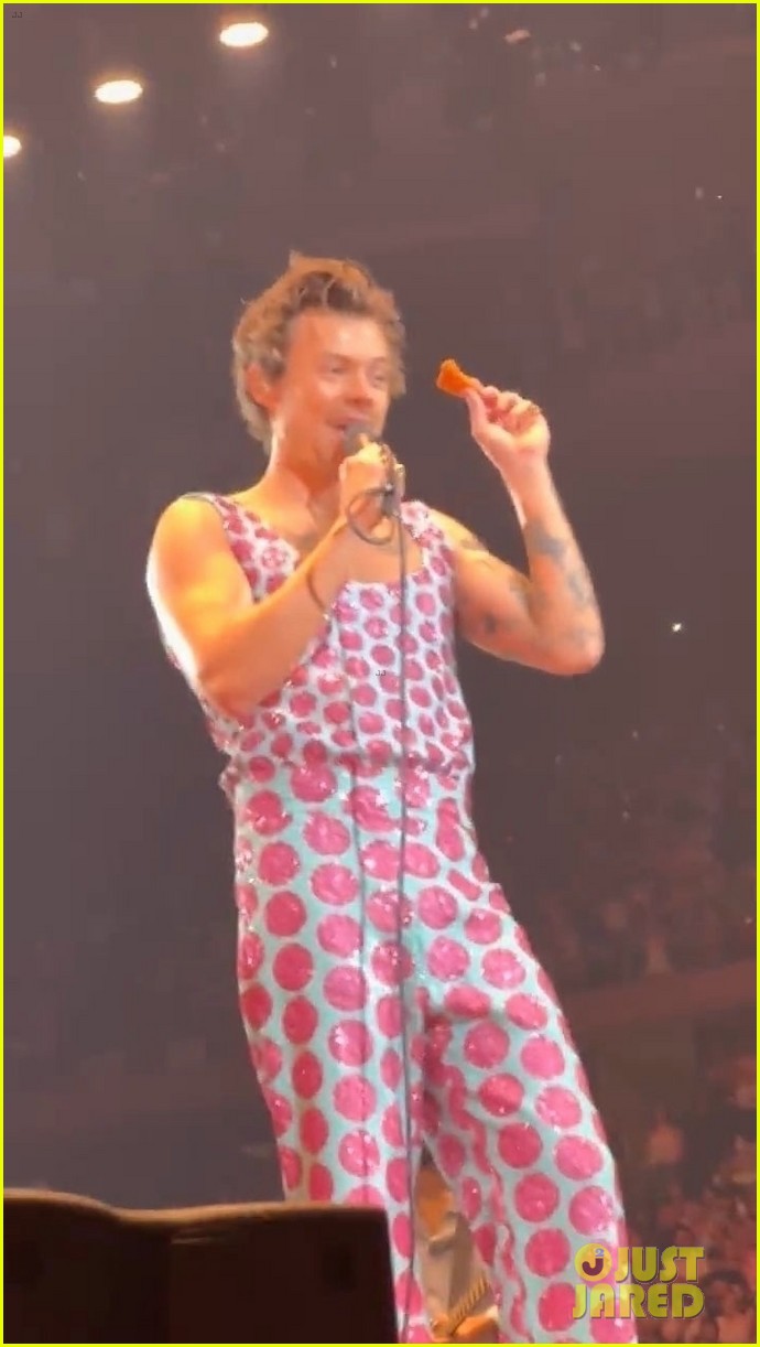 Harry Styles Pauses Concert After Fan Throws a Cold Chicken Nugget at ...