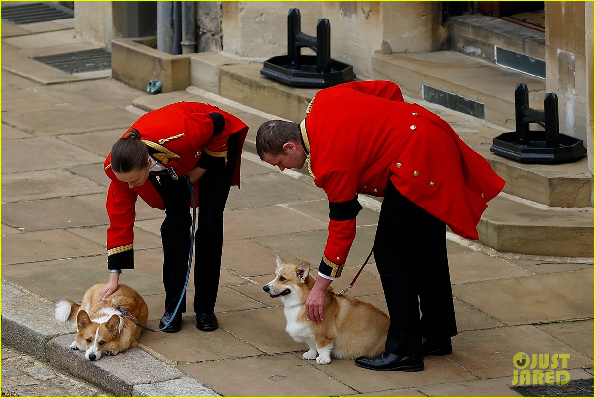 Queen Elizabeth's Beloved Pet Corgis & Pony Were Involved In Her ...