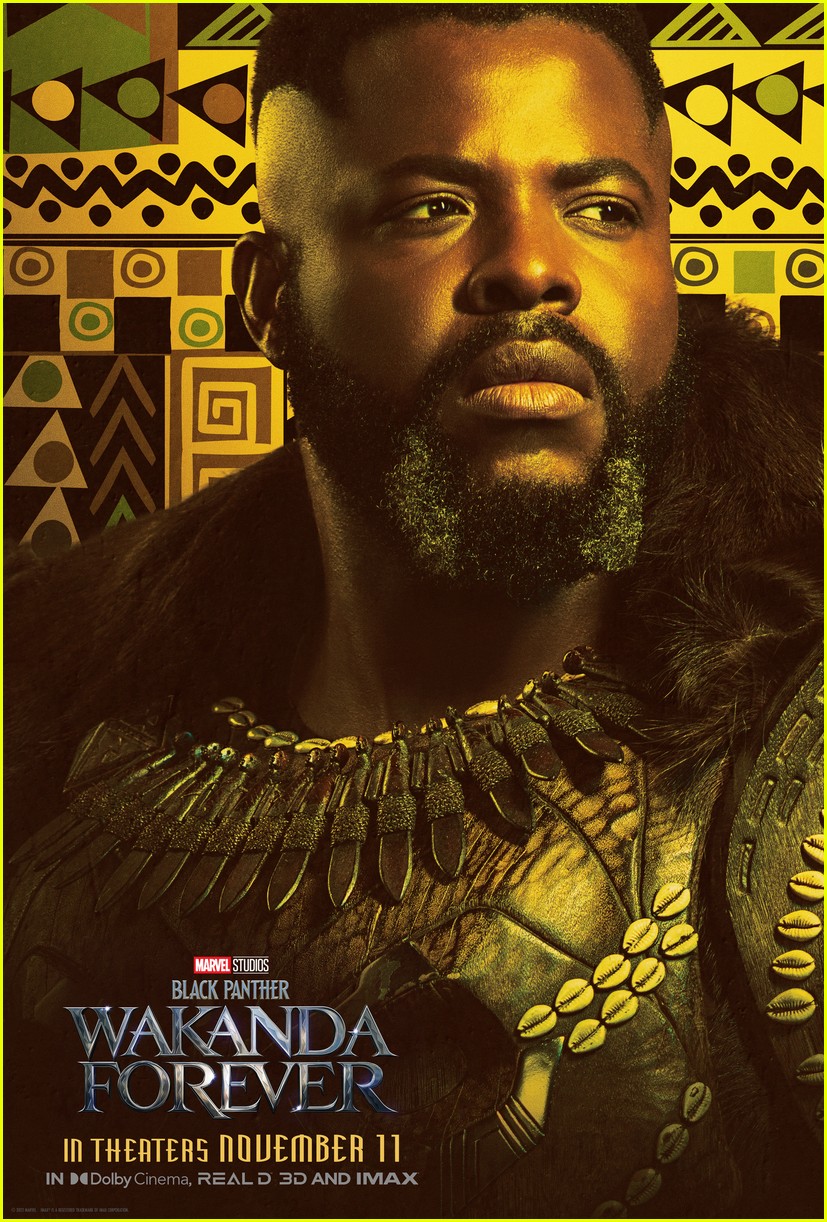 'Black Panther: Wakanda Forever' Opens With Staggering $330 Million ...