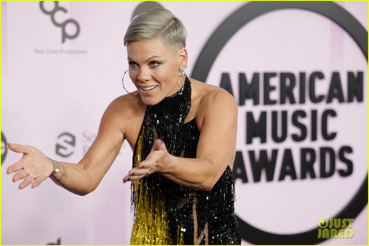 Pink Rules The Red Carpet with Husband Carey Hart & Their Two Kids at ...