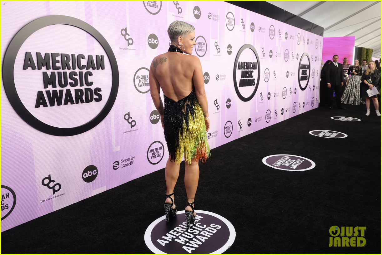 Pink Rules The Red Carpet with Husband Carey Hart & Their Two Kids at ...