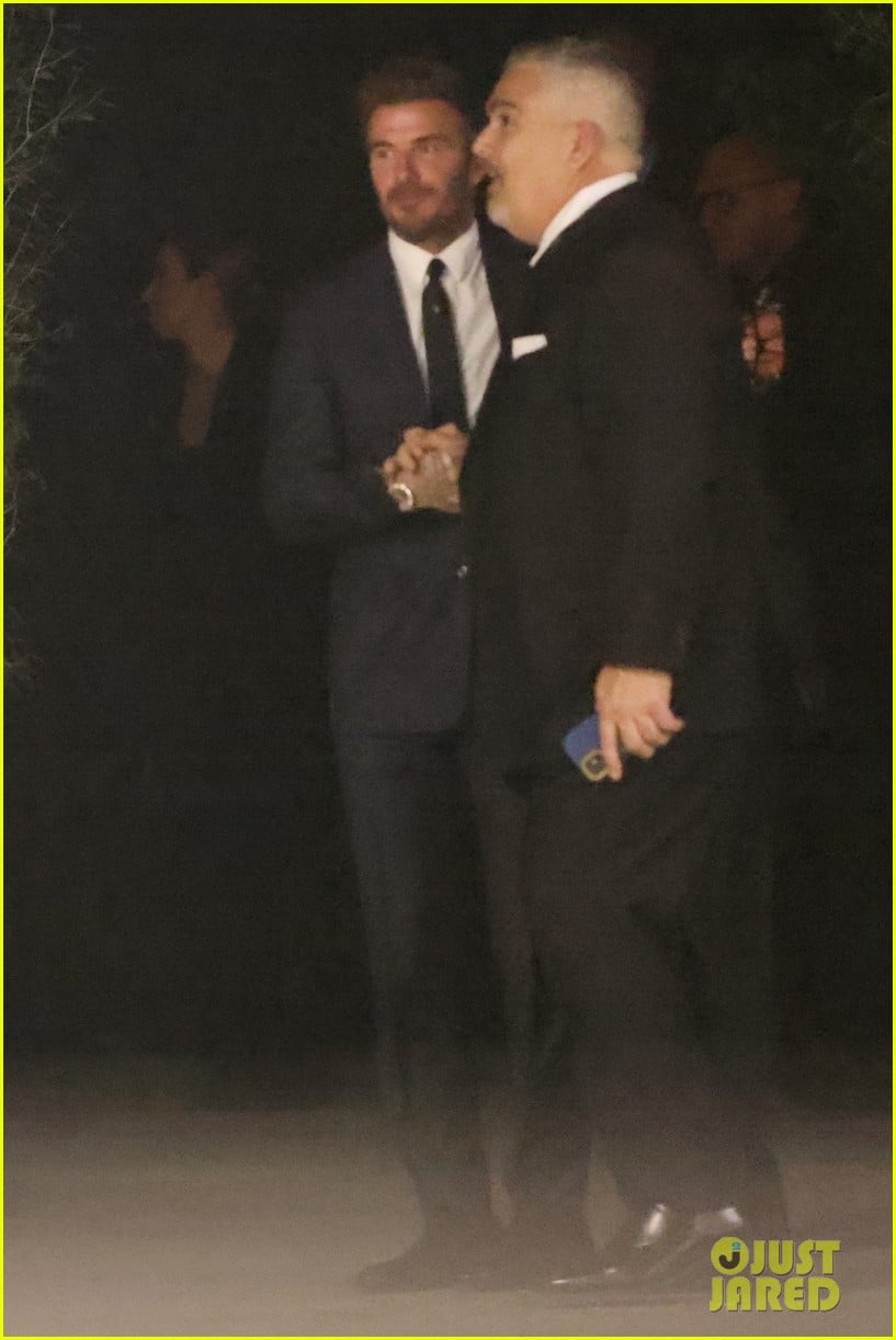 Photos Emerge from Marc Anthony's Wedding to Nadia Ferreira: Photo ...