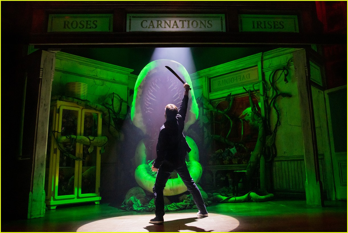 Get to Know Tony Winner Matt Doyle with These 10 Fun Facts (Exclusive ...