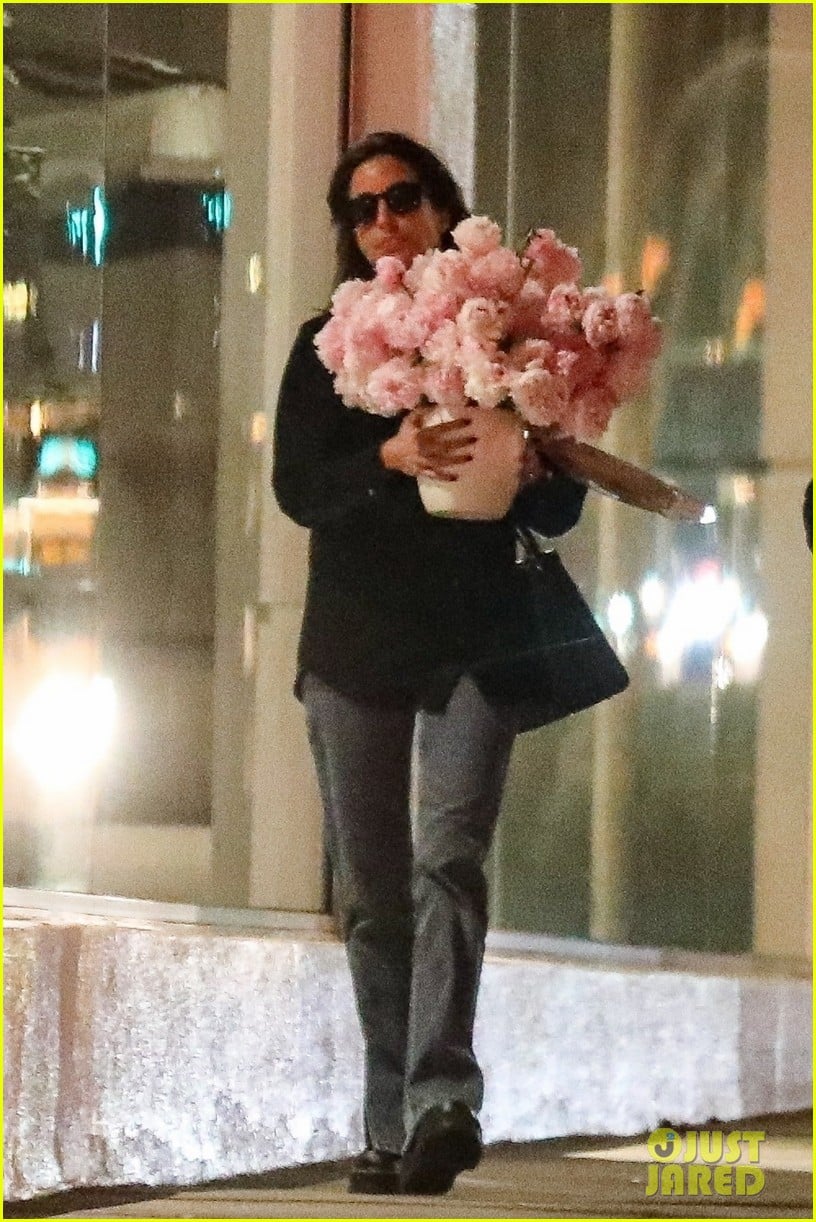 Brad Pitt Sent Girlfriend Ines de Ramon Flowers on Valentine's Day ...