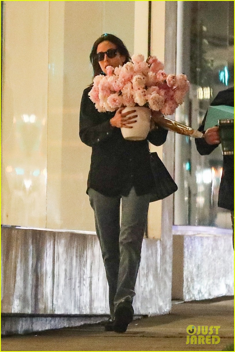 Brad Pitt Sent Girlfriend Ines de Ramon Flowers on Valentine's Day ...