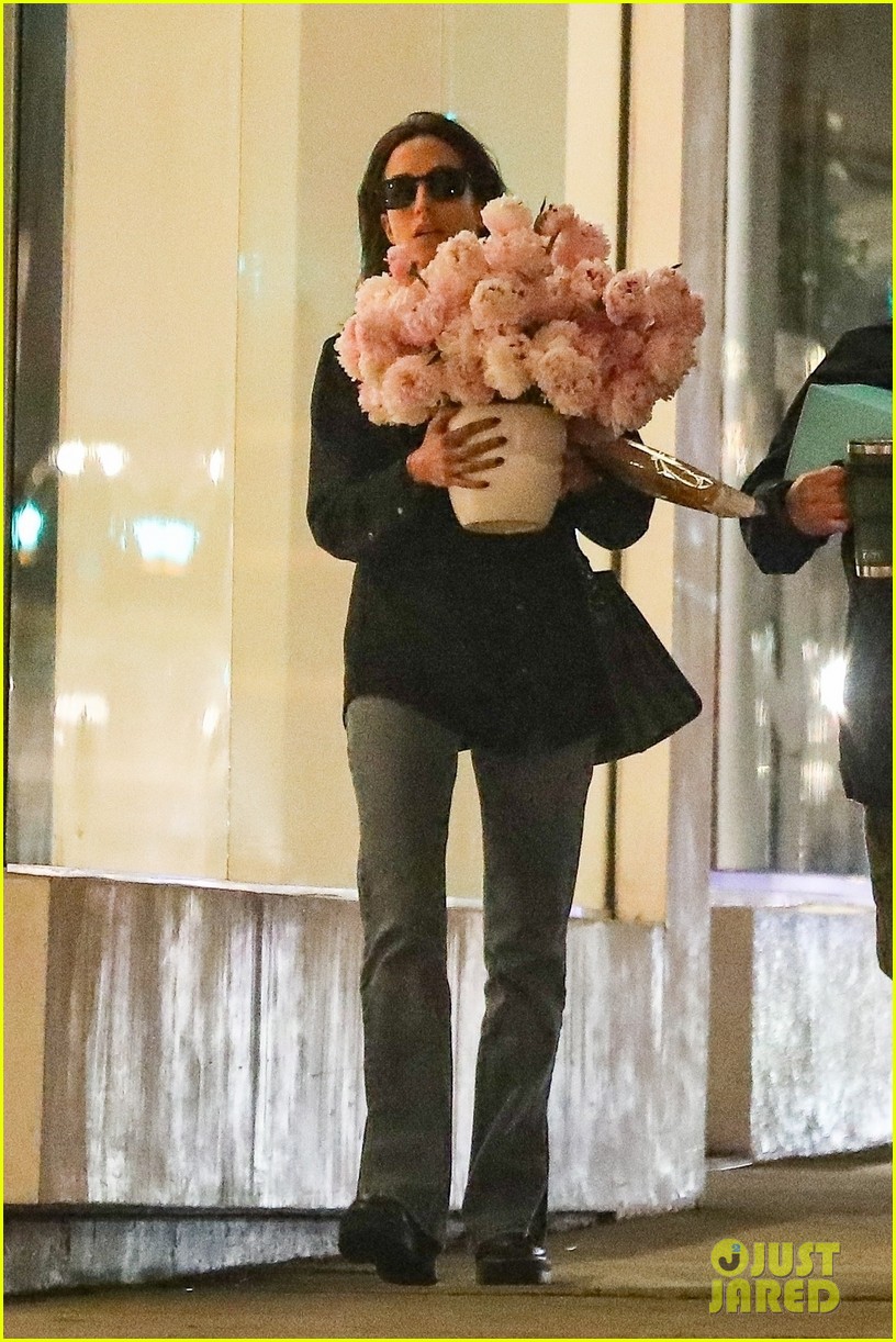 Brad Pitt Sent Girlfriend Ines de Ramon Flowers on Valentine's Day ...