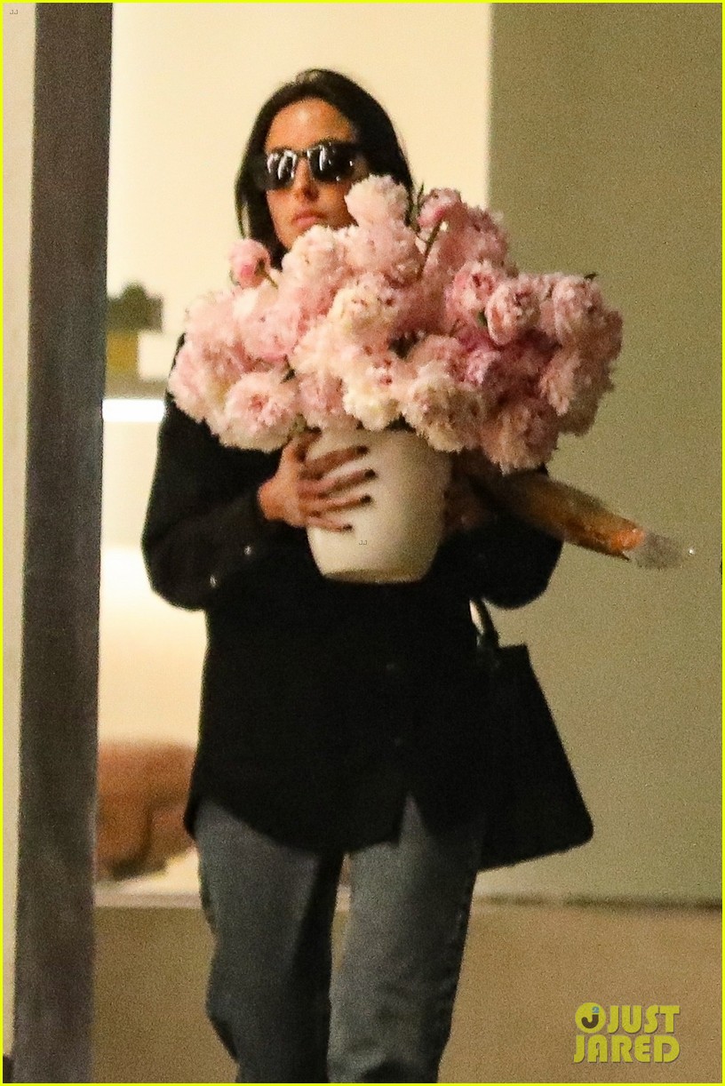 Brad Pitt Sent Girlfriend Ines de Ramon Flowers on Valentine's Day ...