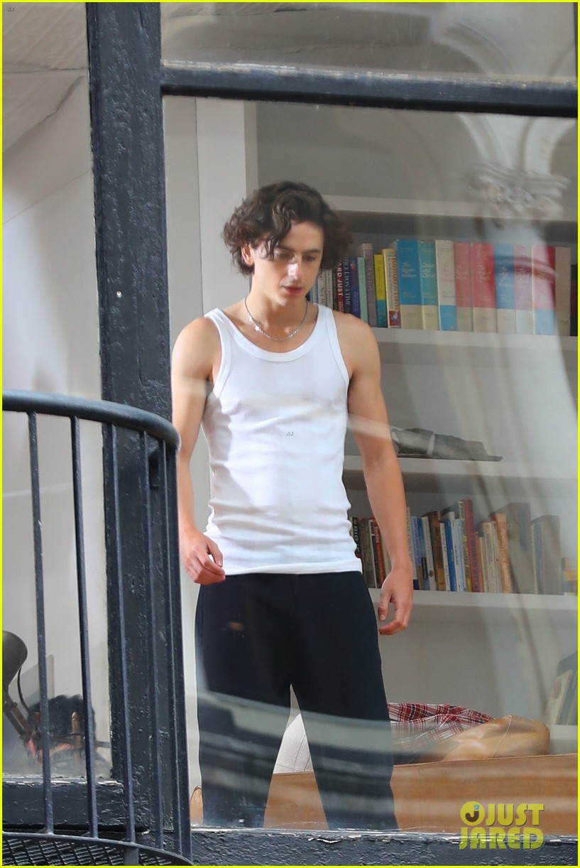 Timothee Chalamet Works with Martin Scorsese on Project Amid Kylie ...