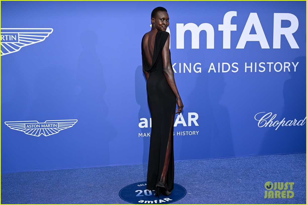 Rebel Wilson, Queen Latifah, Heidi Klum & More Attend amfAR Cannes Gala ...