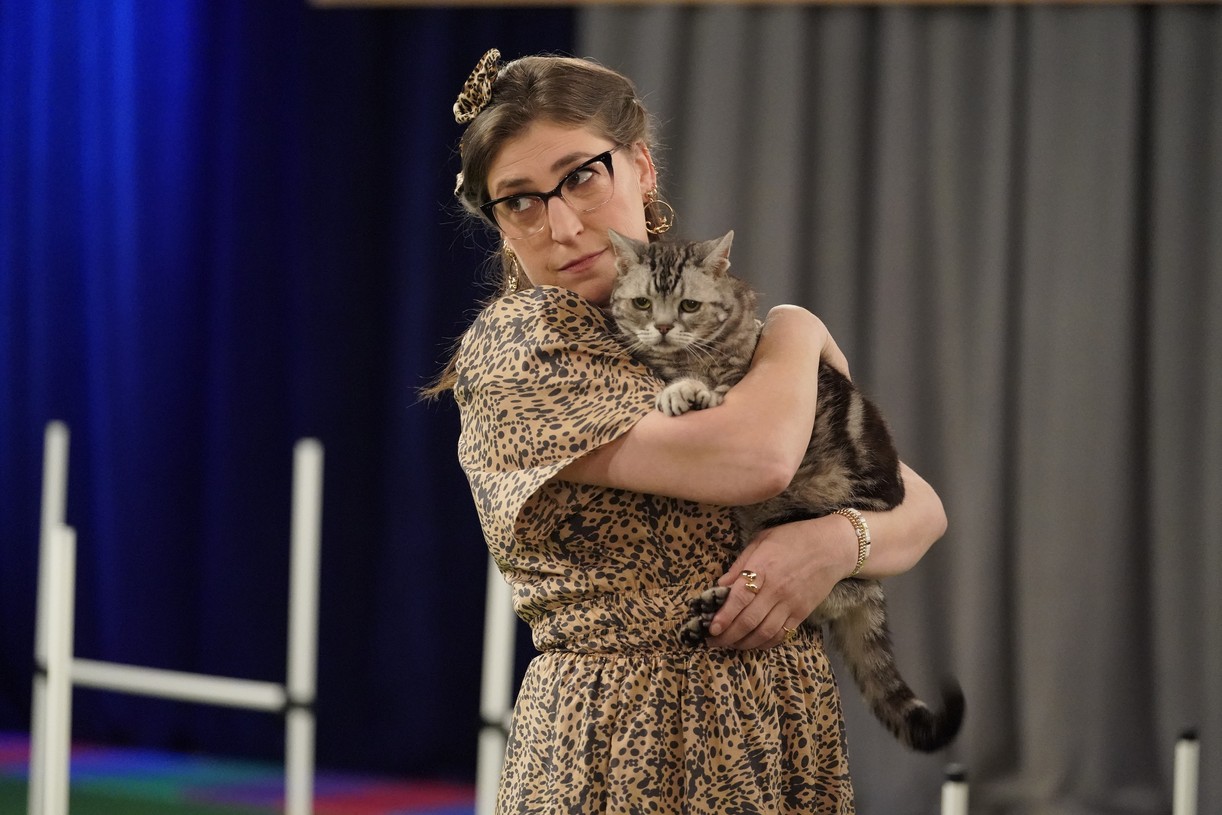 Fox Cancels 'Call Me Kat' After Three Seasons: Photo 4929849 | Photos ...