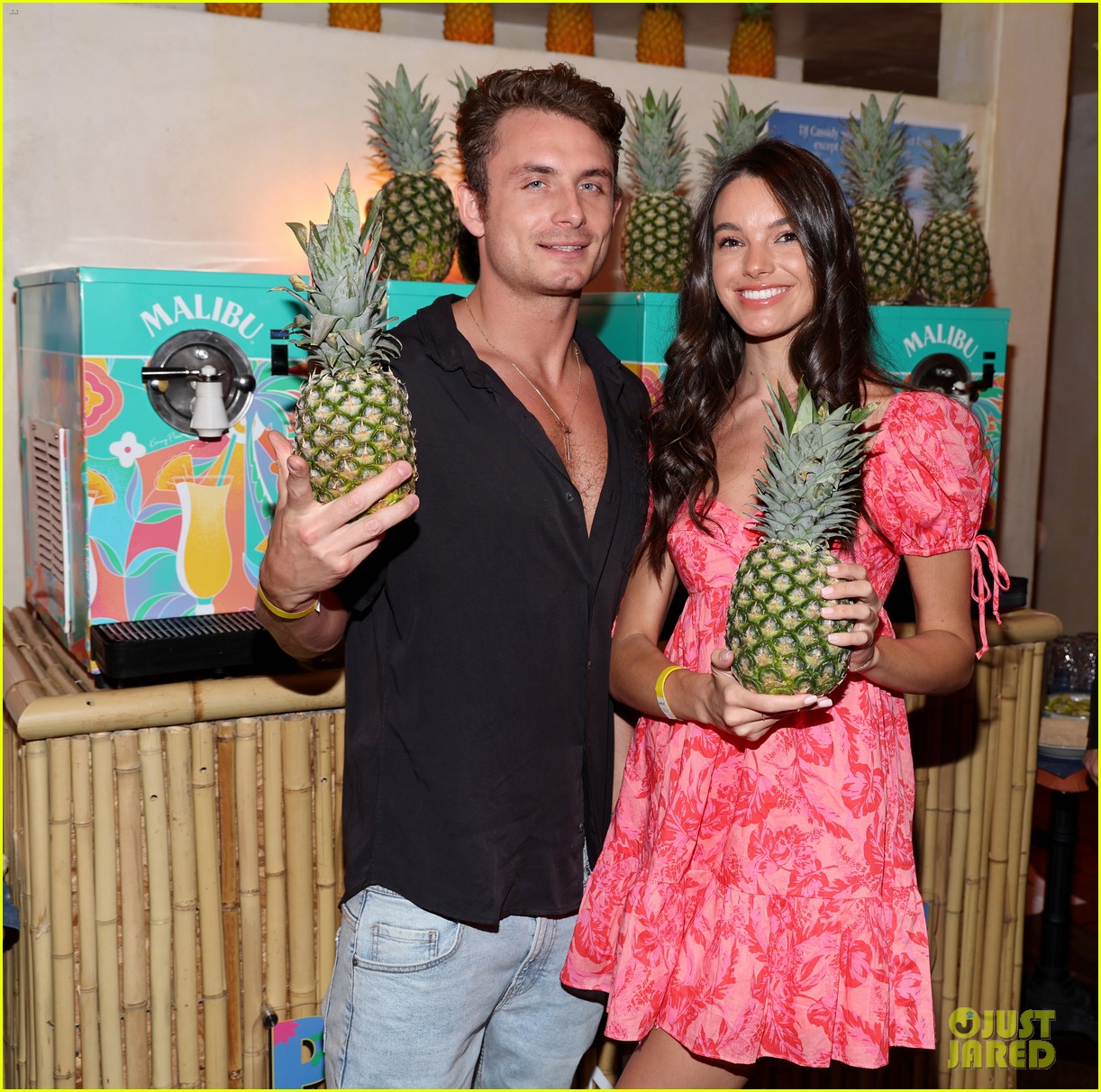 New Couple Katie Cassidy & Stephen Huszar Cozy Up at Malibu Rum's Pina ...