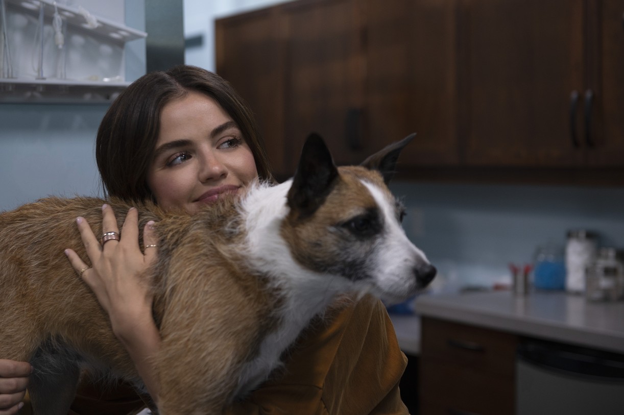 Pup Channing Tatum Takes Center Stage in Lucy Hale & Grant Gustin's ...