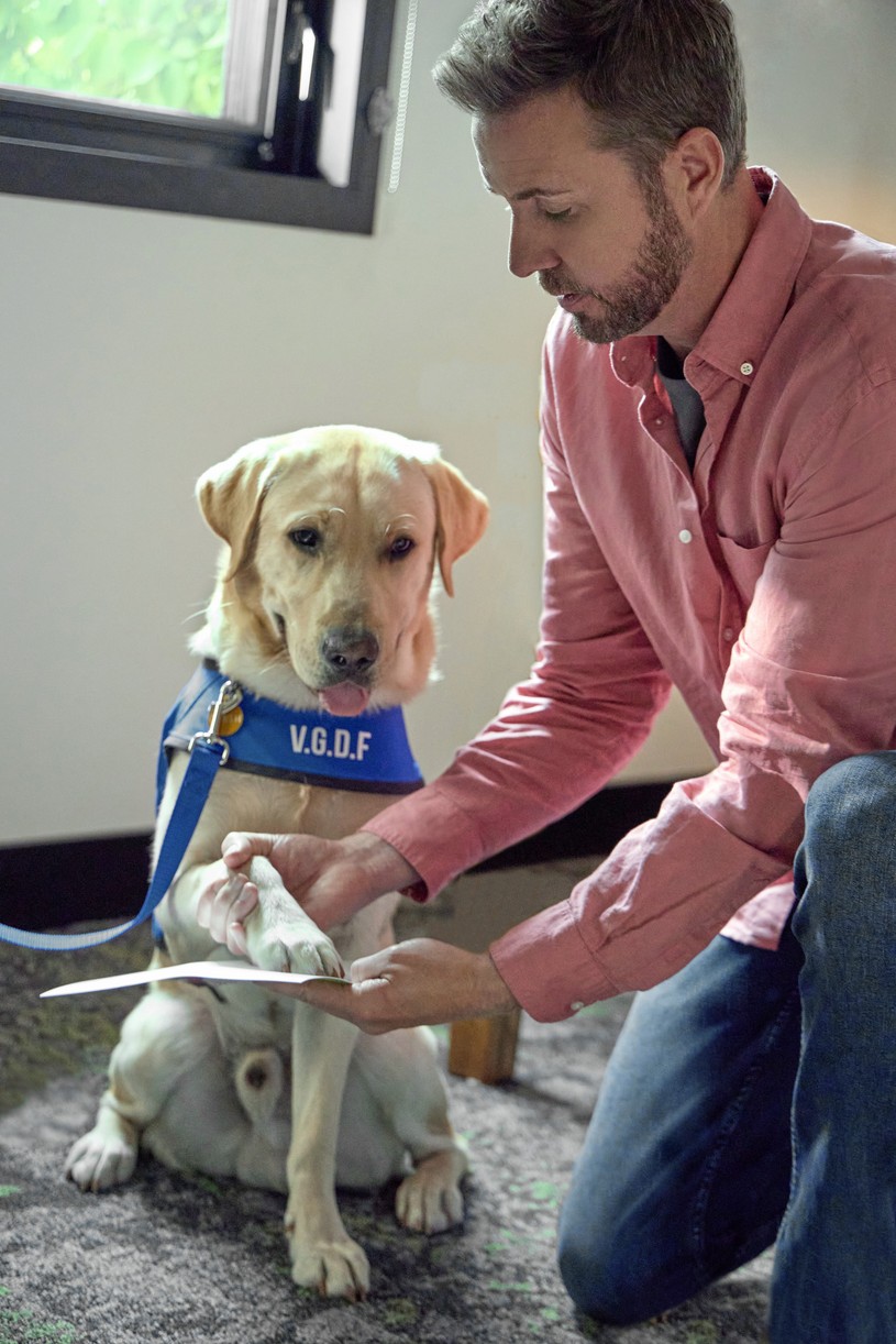 Hallmark Channel Puts A Spotlight On Guide Dogs in 'Guiding Emily ...