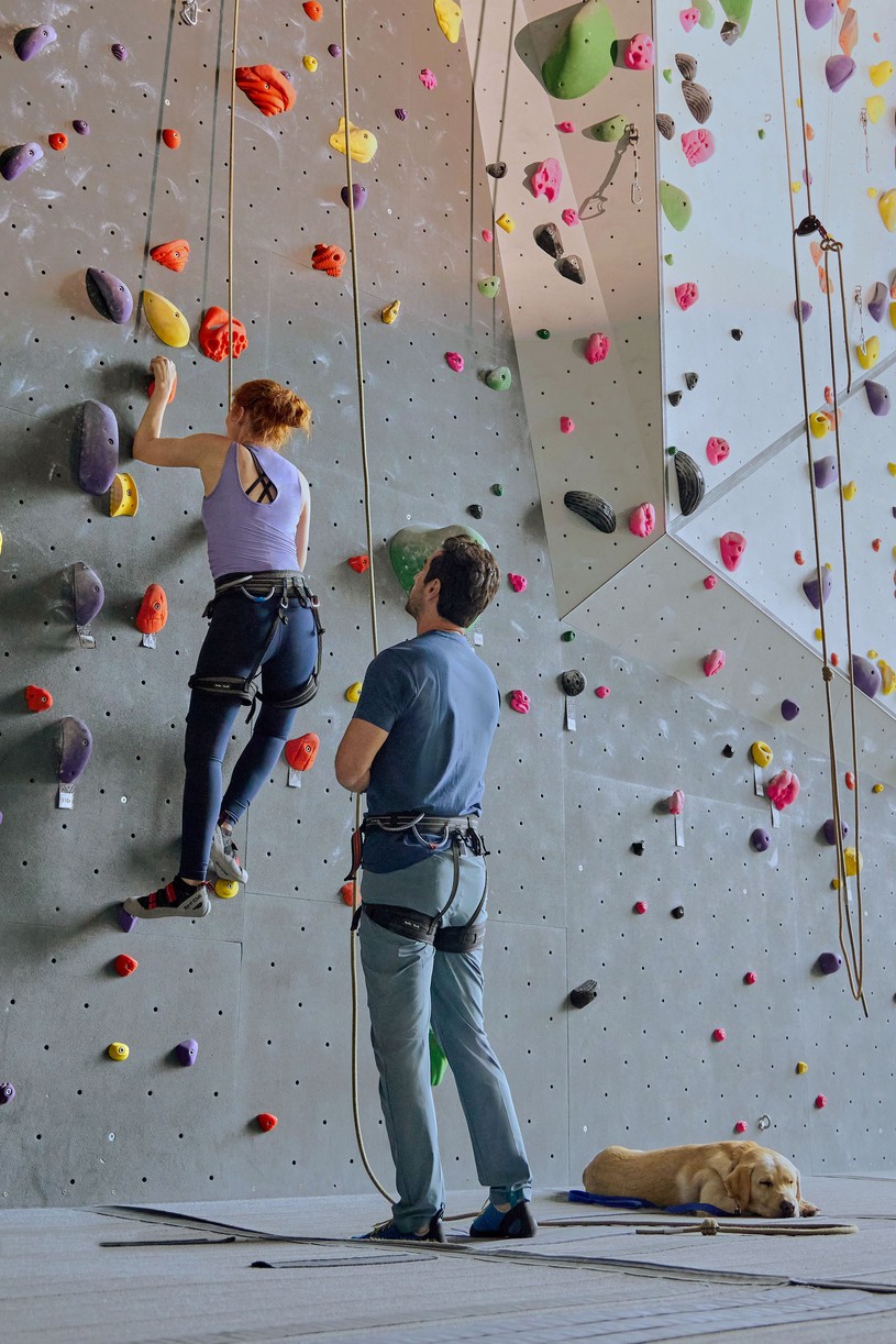 Hallmark Channel Puts A Spotlight On Guide Dogs in 'Guiding Emily ...