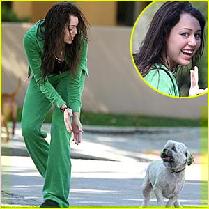 Miley Cyrus Saves a Puppy | Miley Cyrus | Just Jared: Celebrity News ...
