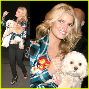 Jessica Simpson Has a Pretty Puppy | Jessica Simpson | Just Jared ...