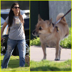 Sandra Bullock Loves Her Three-Legged Pooch | Sandra Bullock : Just Jared
