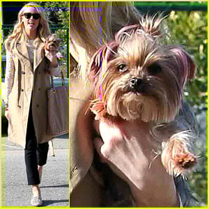 Amber Heard’s Dog: Pink Ears! | Amber Heard | Just Jared: Celebrity ...