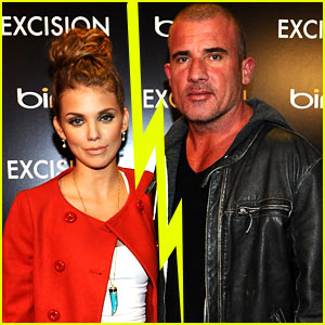 AnnaLynne McCord & Dominic Purcell Split? | AnnaLynne McCord, Dominic ...