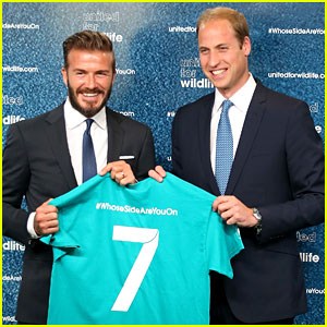 David Beckham ‘Unites’ with Prince William to Preserve Wildlife | David ...