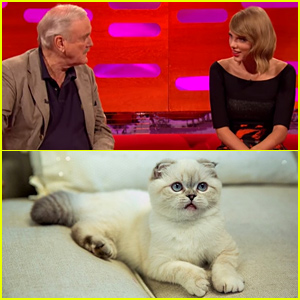 British Actor John Cleese Disses Taylor Swift’s Cat Olivia & She’s Not ...