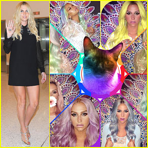 Kesha Says Her Cat Peeps is Hypnotizing | Celebrity Pets, Kesha : Just ...