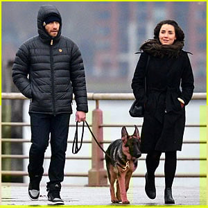 Jake Gyllenhaal Slaps David Letterman Between The Legs, Calls it ‘The ...