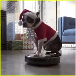 This ‘Dog on a Roomba’ Video Is Totally Winning Christmas! | 2014 ...
