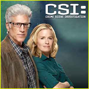Is the ‘C.S.I.’ Series Finale Next Week? Get the Real Scoop! | CSI ...