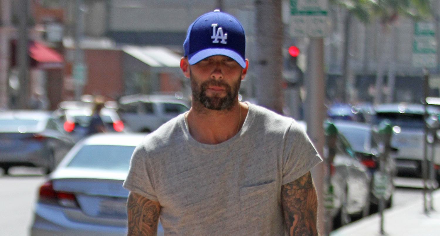 Adam Levine Tries to Stay Humble with Private Jet Photo | Adam Levine ...