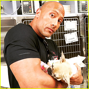 Dwayne Johnson Posts Devastating Update on His New Puppy | Celebrity ...