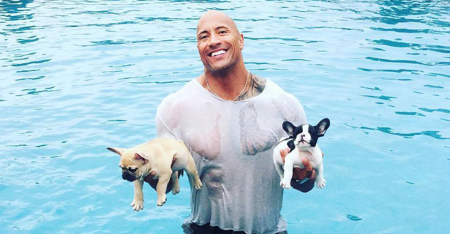 The Rock Jumps in Pool Fully Clothed to Save His Puppy! | Celebrity ...