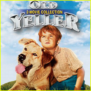 ‘Old Yeller’ Actor Kevin Corcoran Dead at 66 | Kevin Corcoran, RIP ...