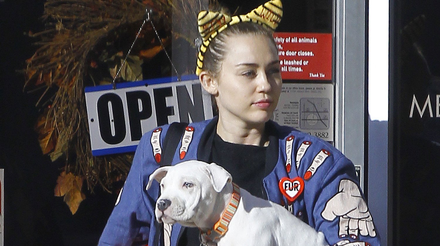 Miley Cyrus Adds Another Pup To Her Animal Fam! | Miley Cyrus | Just ...