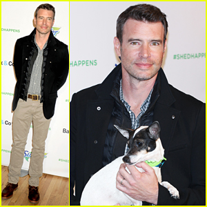 Scott Foley Says a ‘Felicity’ Reunion Movie Is Not Likely | Scott Foley ...