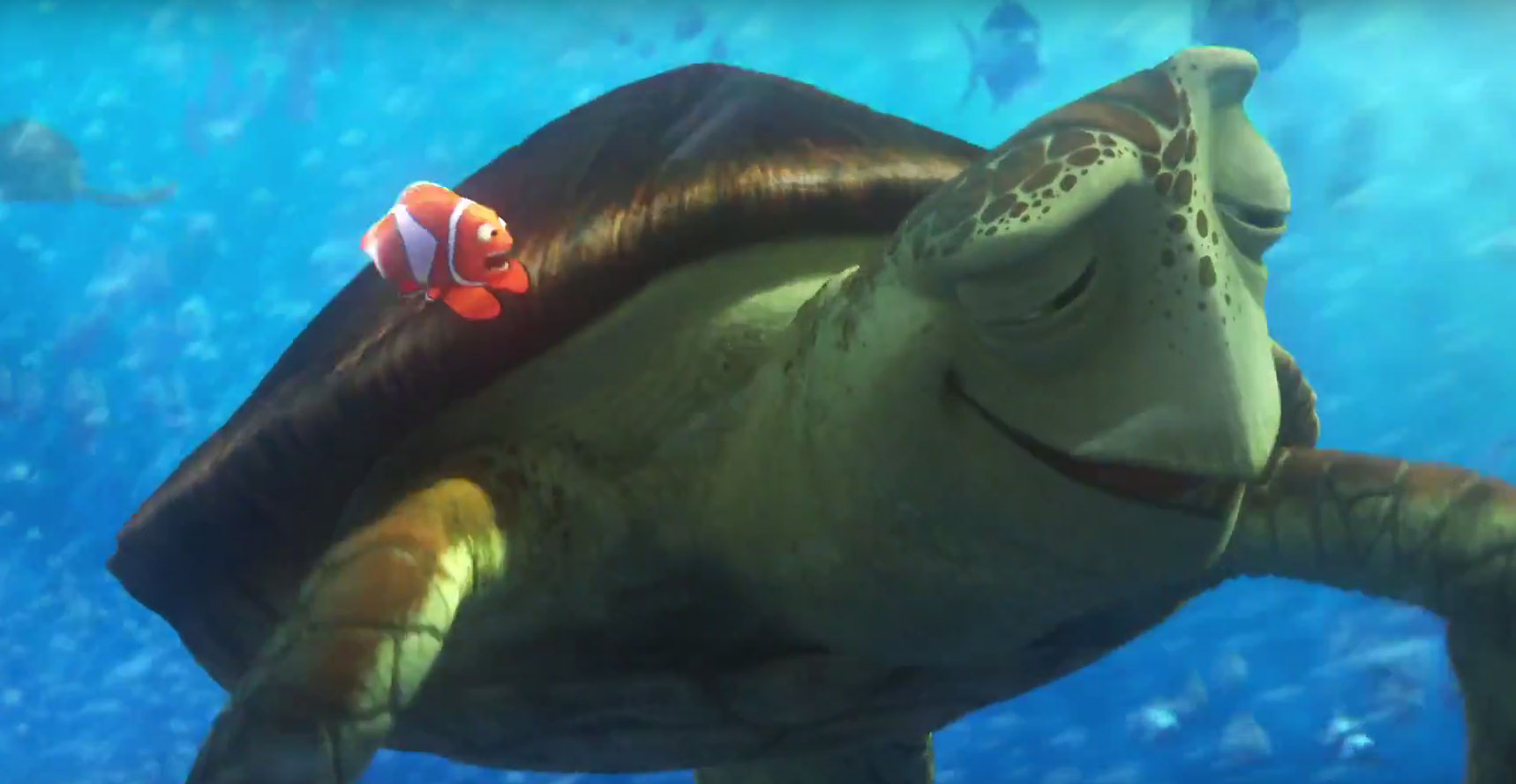 Watch the First Two Clips From ‘Finding Dory’ Are Here! | Finding Dory ...