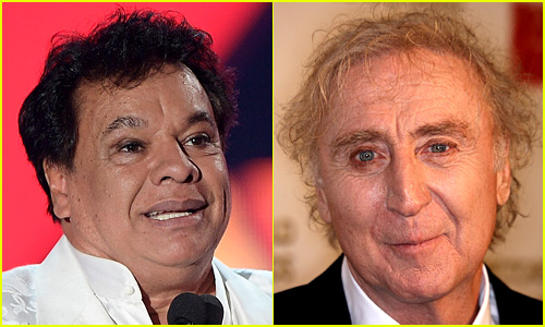 In Remembrance: Celebrity Deaths in 2016 | 2016 Year End Recap, RIP ...