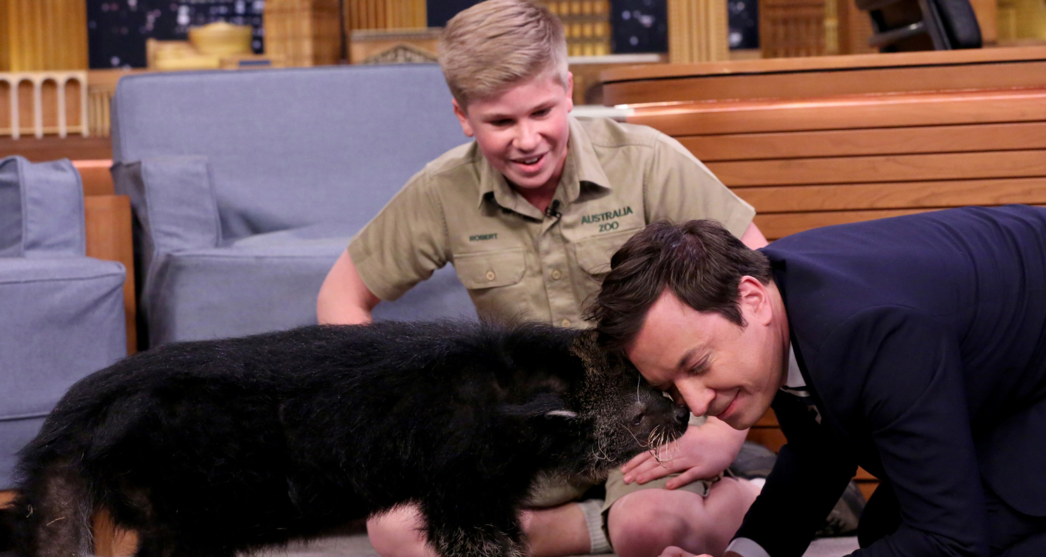 Steve Irwin’s Son Robert Makes His Return To ‘The Tonight Show’ – Watch ...