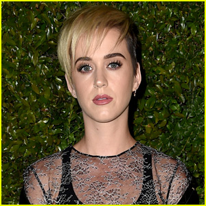 Did Katy Perry Write Response to Taylor Swift’s ‘Bad Blood’? She ...