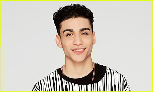 ABC’s ‘Boy Band’ – Meet the 30 Contestants! | Boy Band, Television ...