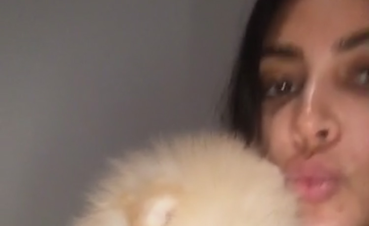 Kim Kardashian Gets North an Adorable Puppy for 4th Birthday ...