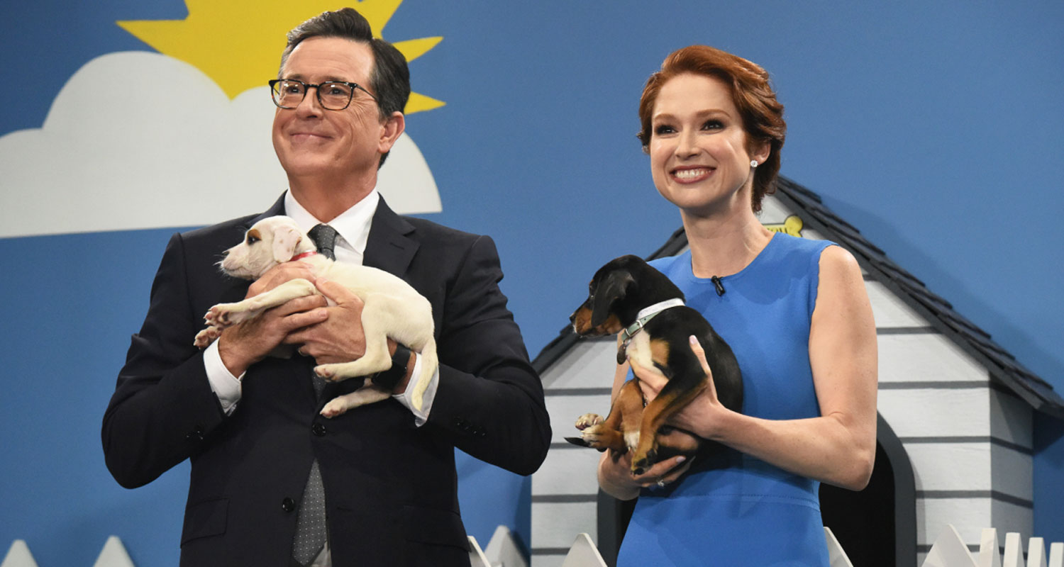 Ellie Kemper & Stephen Colbert Help Find Adorable Rescue Dogs a Home on ...