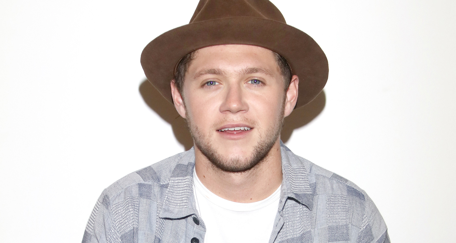 Niall Horan Opens Up About Signing to Wilhelmina Models | Niall Horan ...