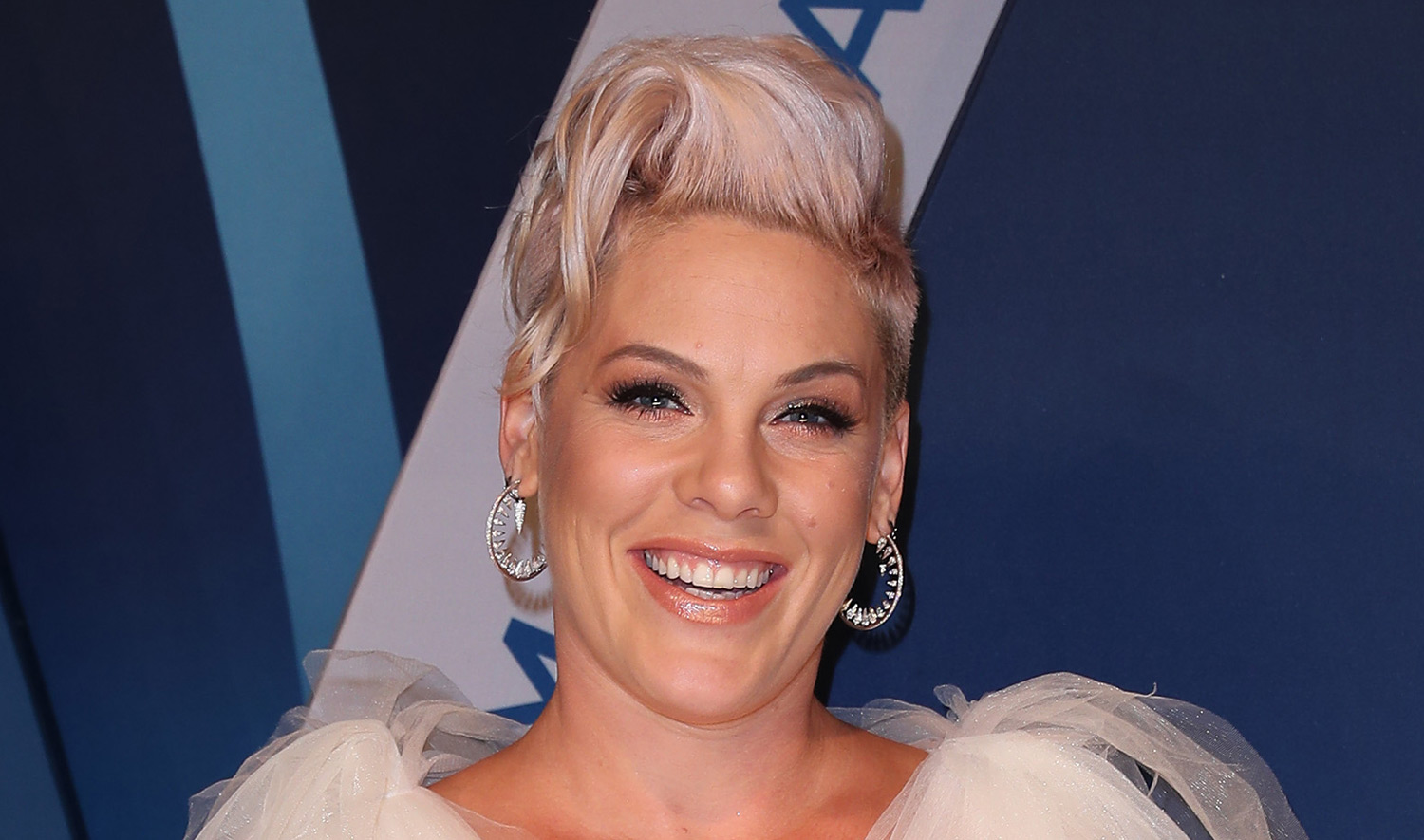 Pink’s American Music Awards Performance Will Be Crazy! | Newsies, Pink ...