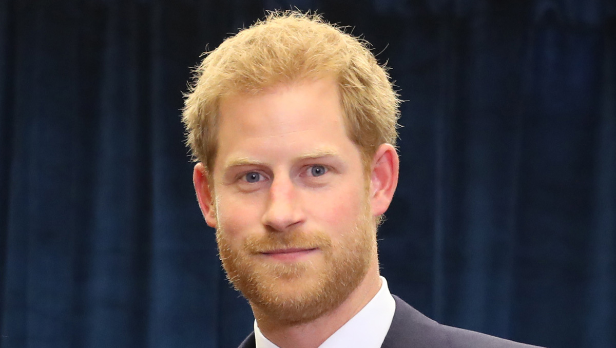 Prince Harry Has a Brand New Job, Approved By the Queen! | Prince Harry ...